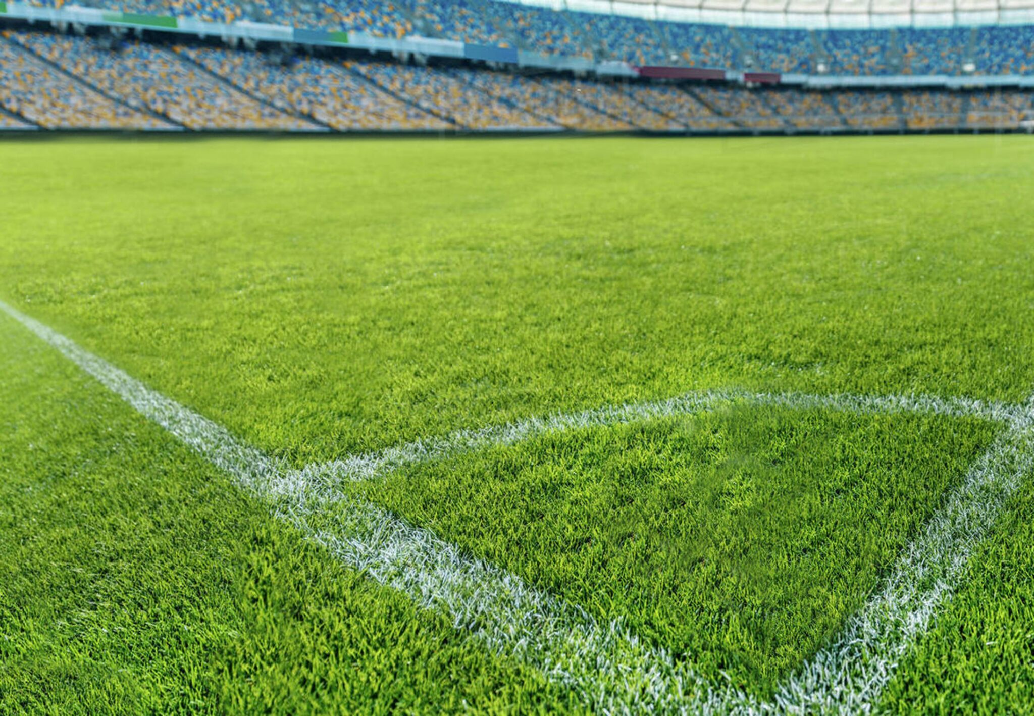 From the Ground Up: The Essential Steps in Constructing a Sports Field ...