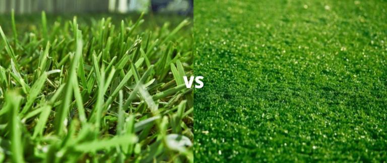 Natural Turf vs. Artificial Grass: Which is the Best fit for your ...